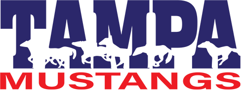 Tampa Mustangs Softball